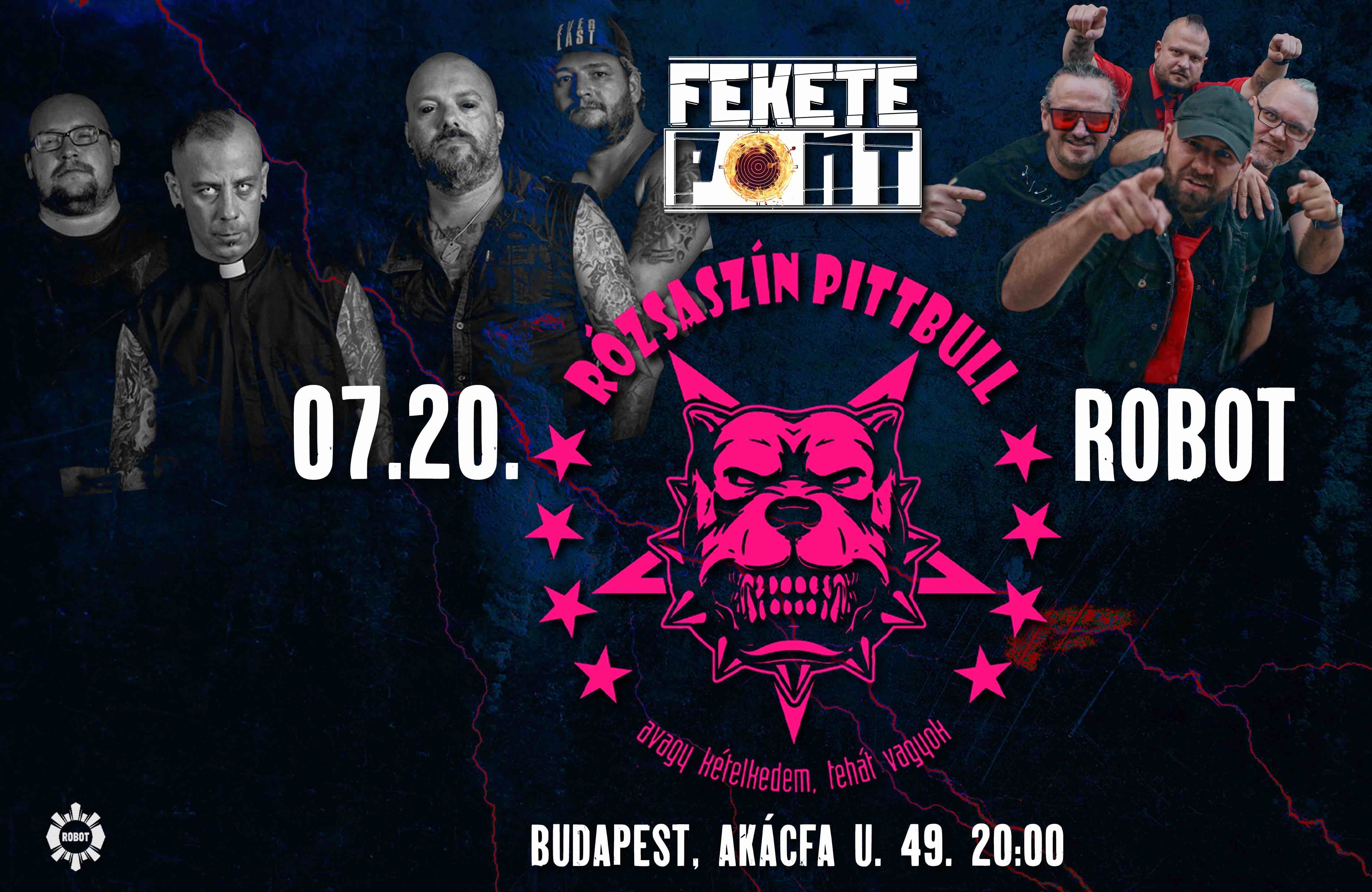Tixa // Fekete Pont x Rózsaszín Pitbull // ROBOT